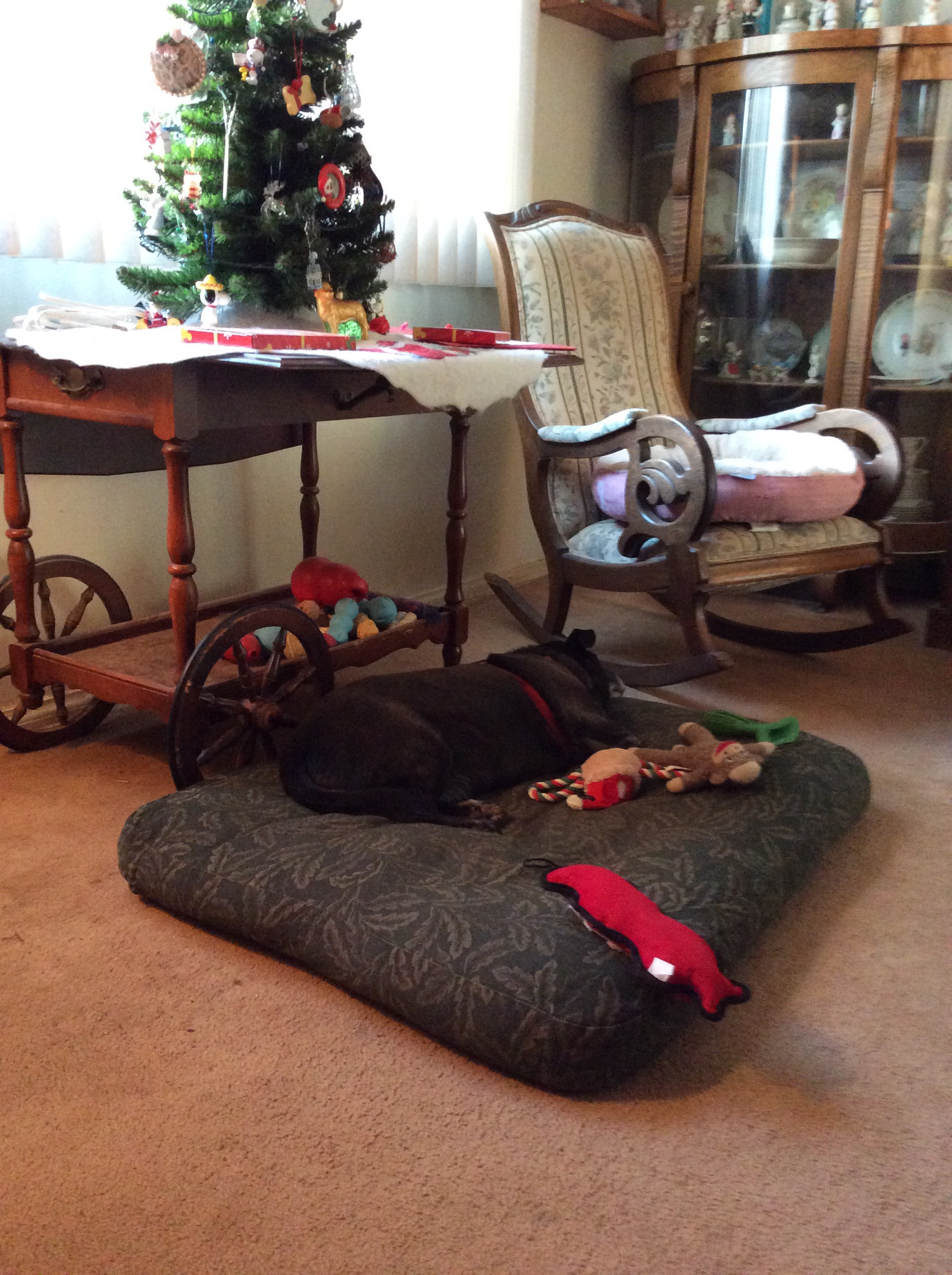 Welcome 2021!! – in my heart 4ever