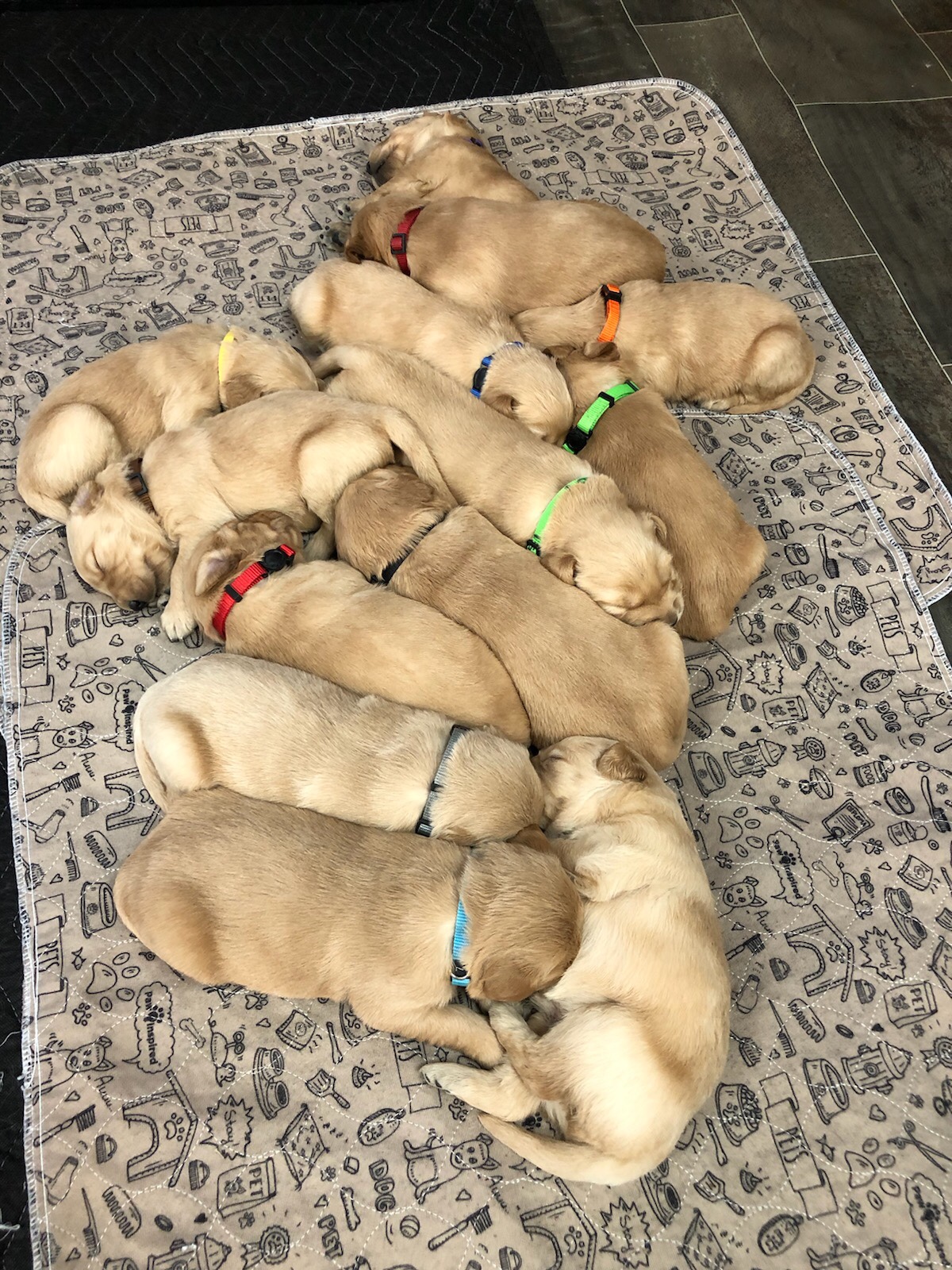 Introducing Ducky’s Baby Brother – in my heart 4ever