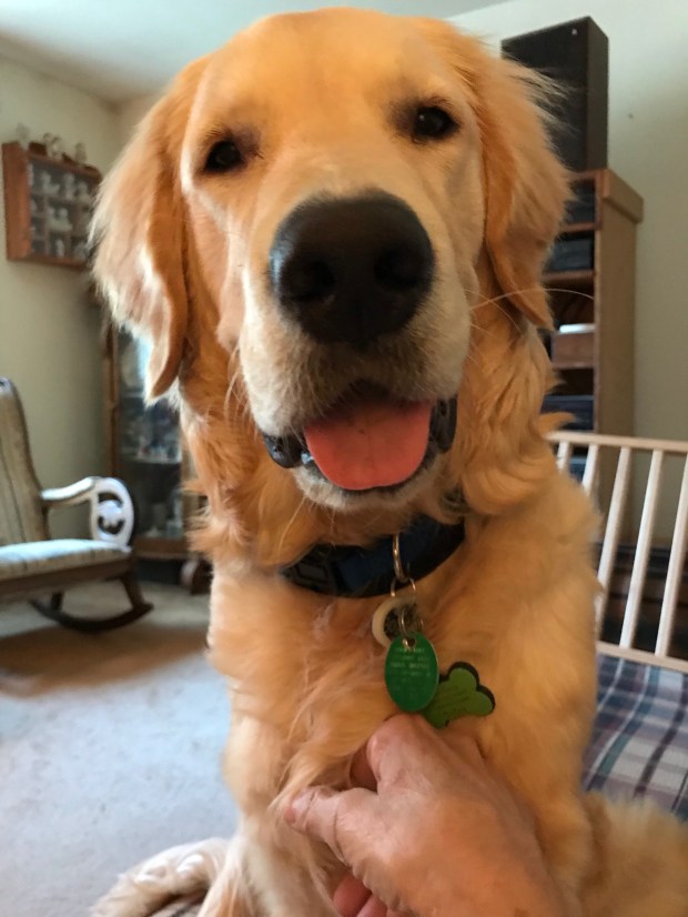 Look How Big I Am! – in my heart 4ever