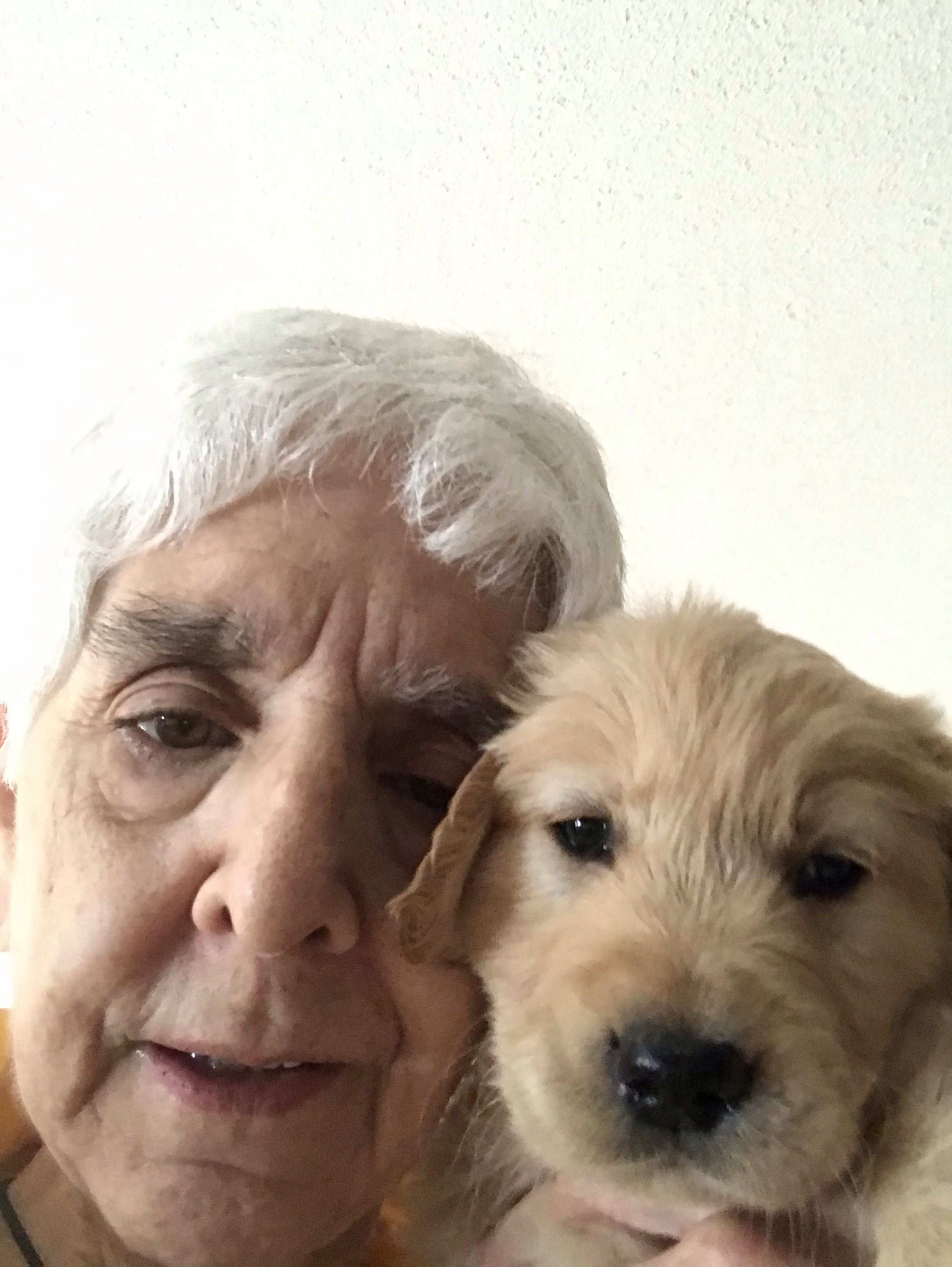 Introducing Zoey – in my heart 4ever