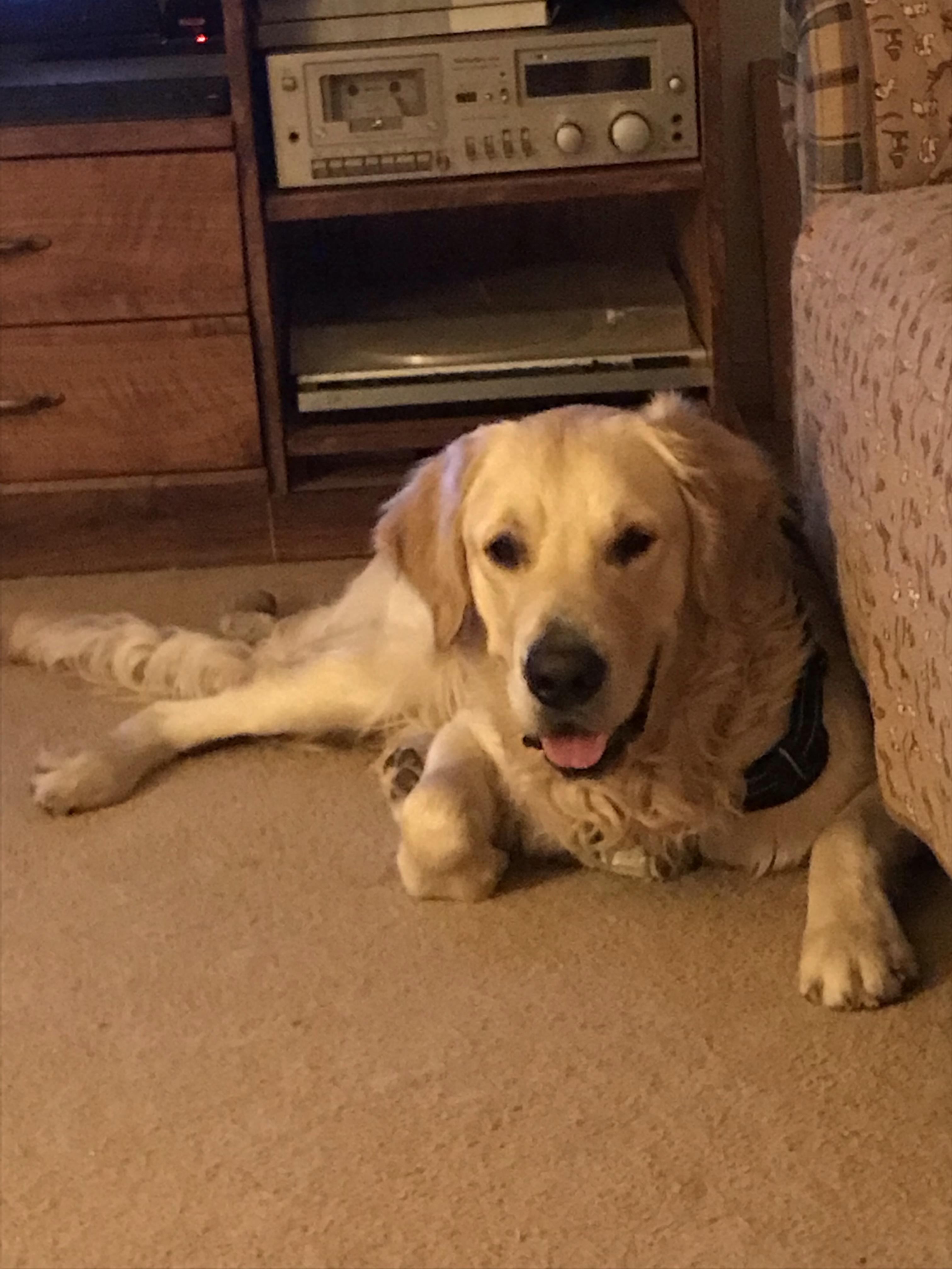 Happy Tuesday – in my heart 4ever