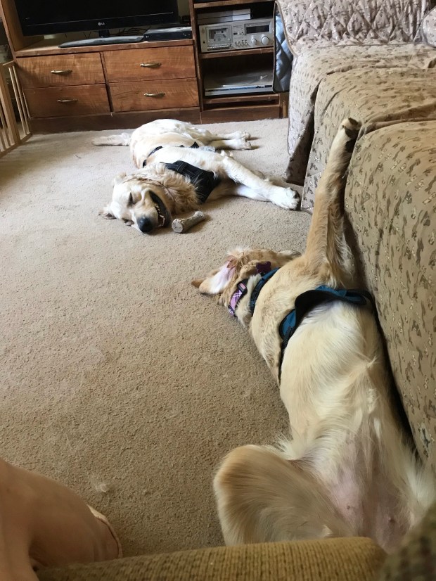 Happy Tuesday – in my heart 4ever