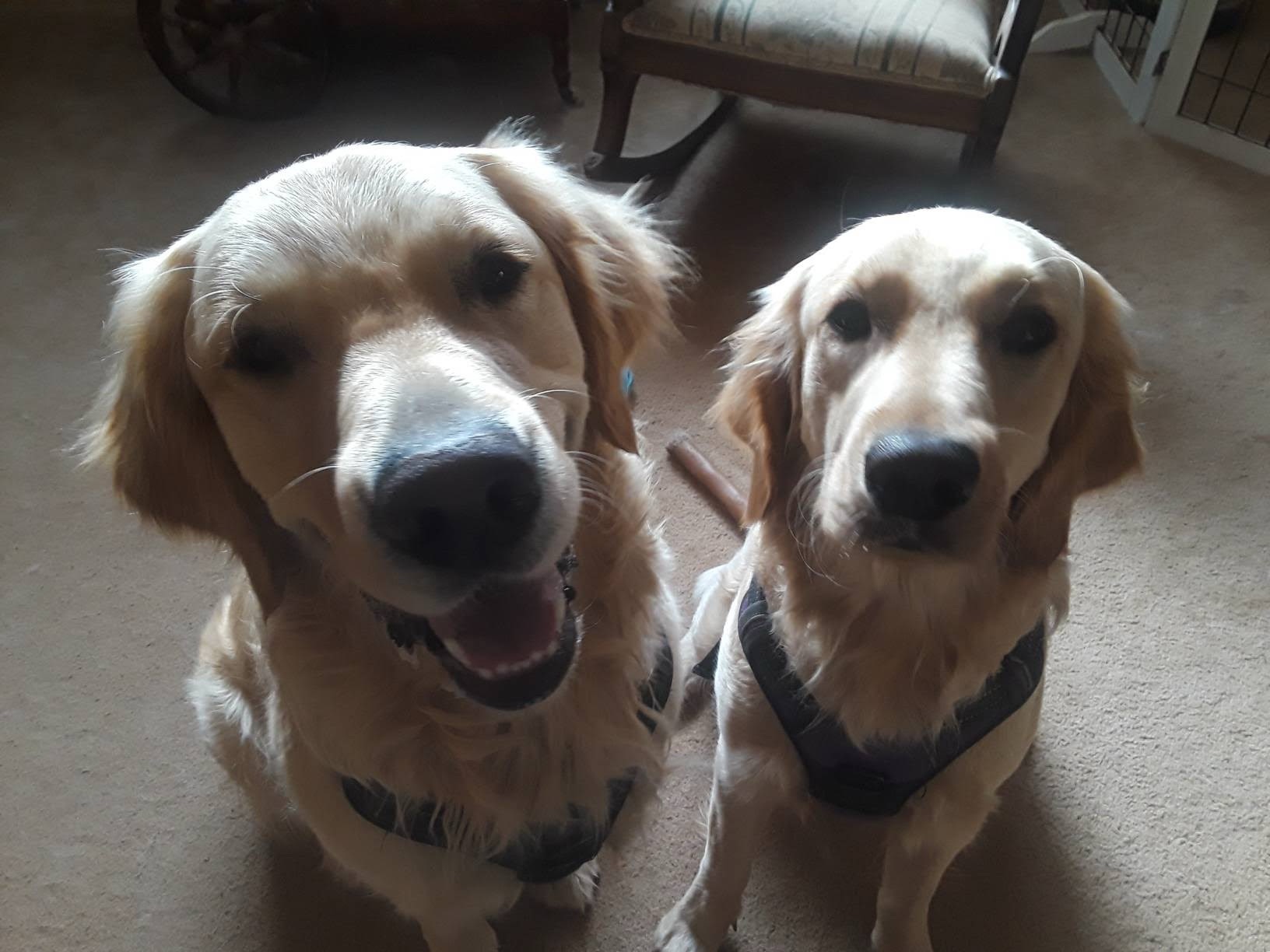 These Two! – in my heart 4ever