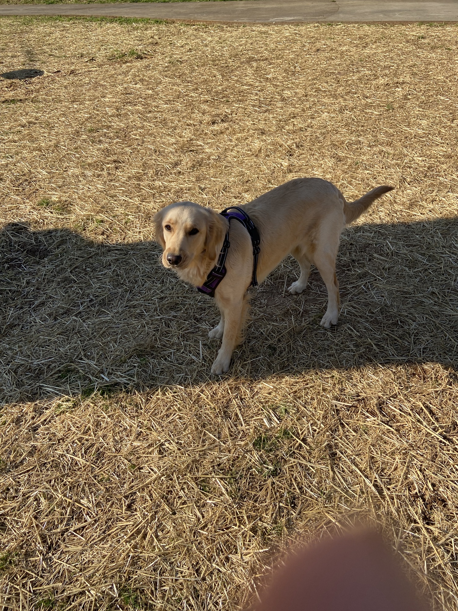 And Today is Zoey’s Day – in my heart 4ever