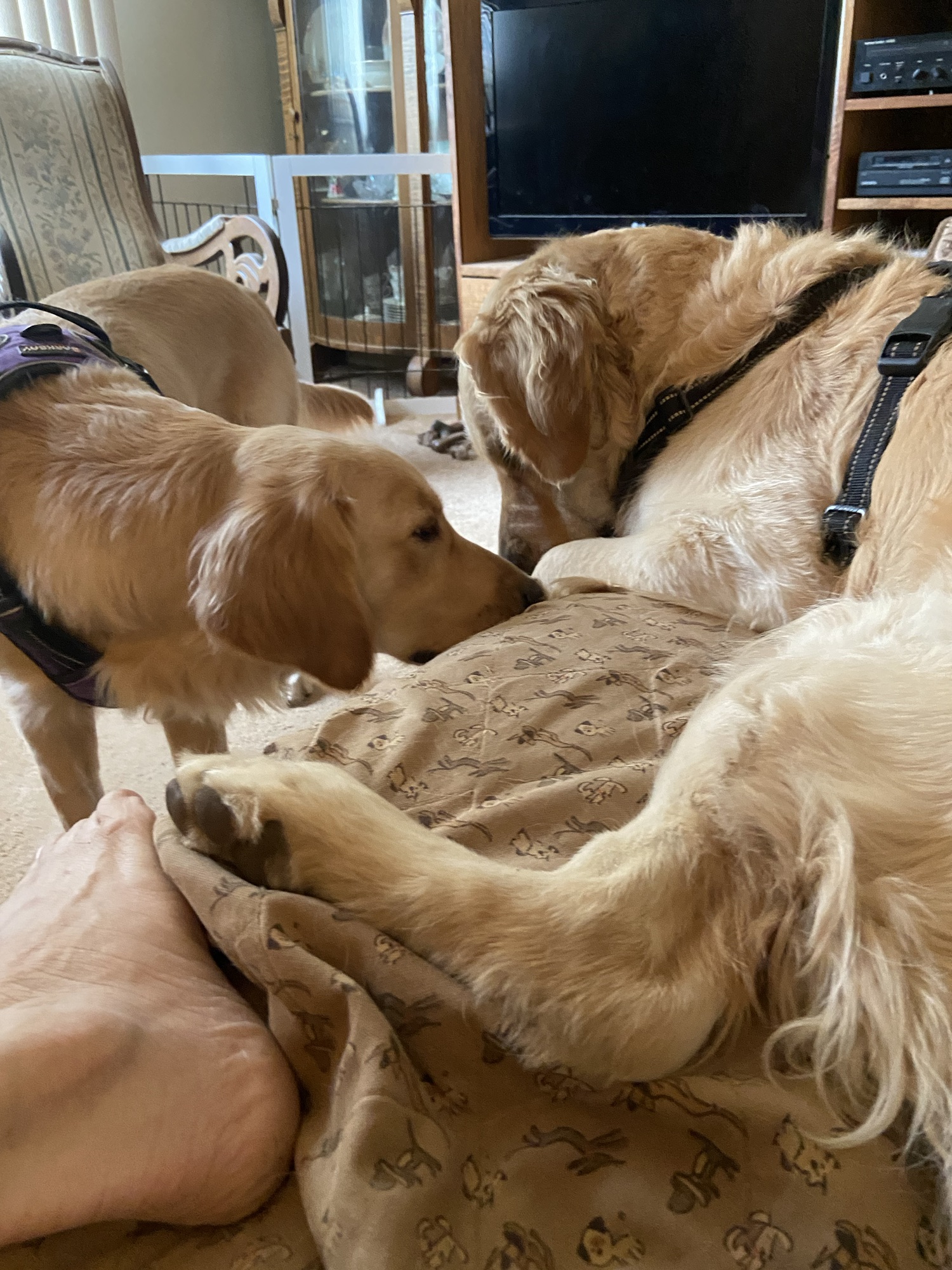 Reunited – in my heart 4ever