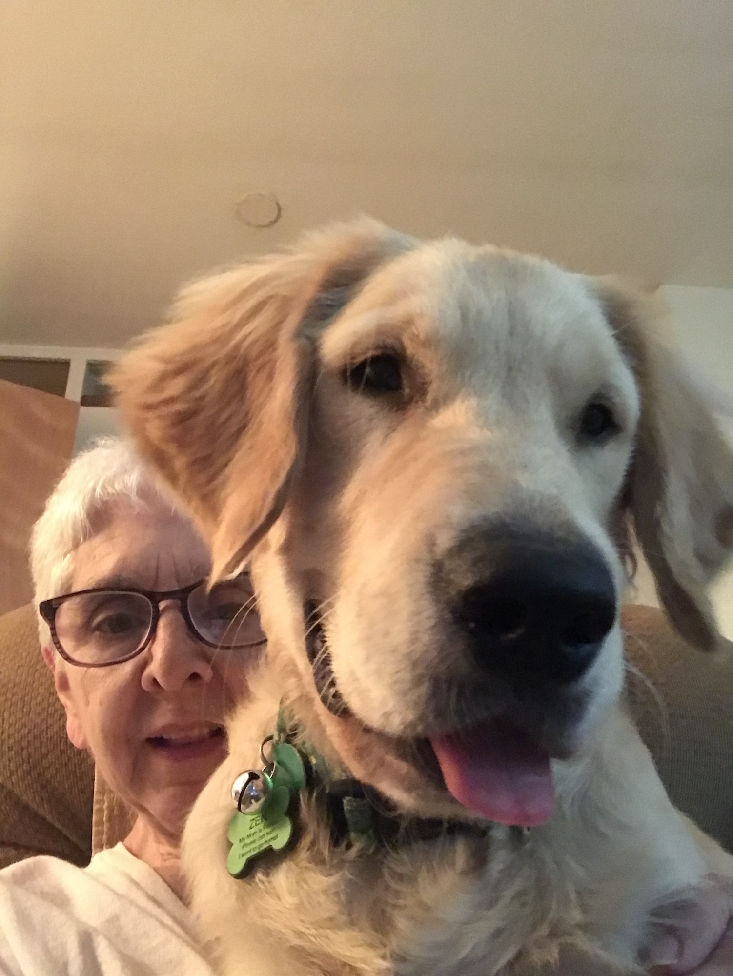 A Special Day for Zen & Me – in my heart 4ever